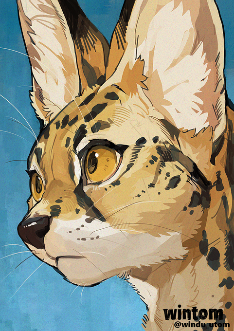 wintom (@windu_utom) さんのイラスト・マンガ作品まとめ (320 件) - Twoucan