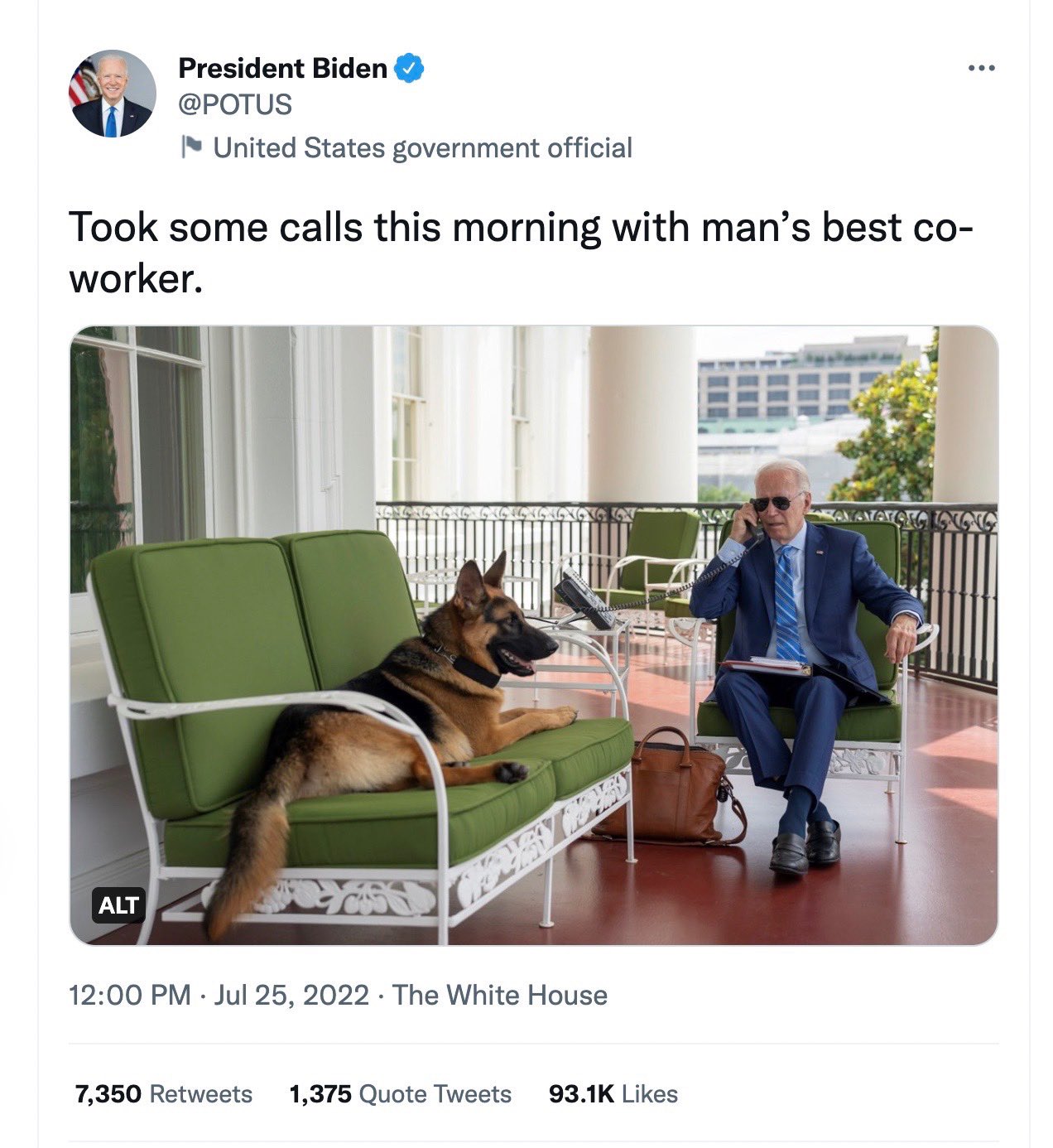 Are Dogs Good Judges Of Character