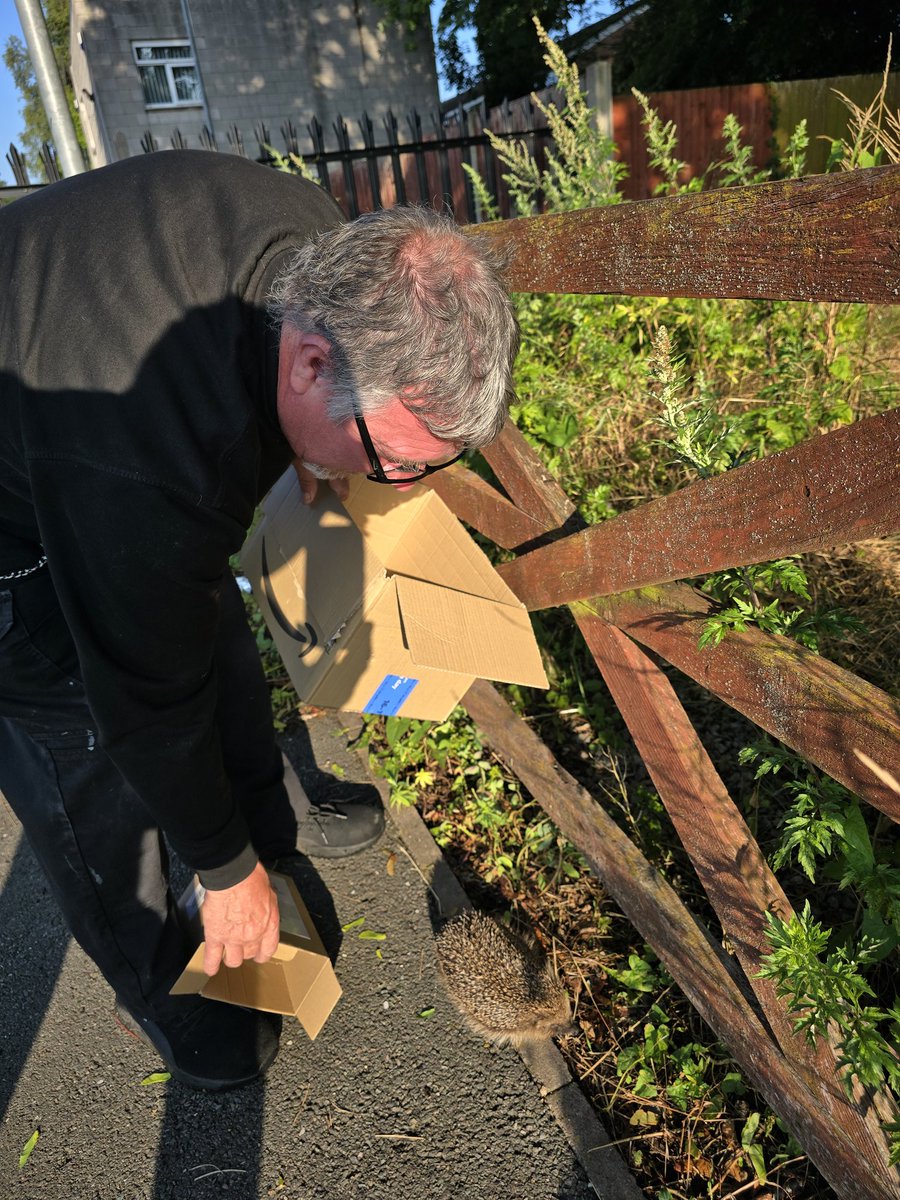 John Henry Newman | Catholic College