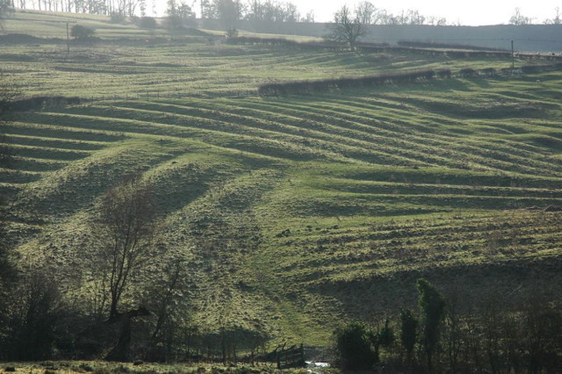 You’re a medieval peasant farmer. You’re at the bottom rung of society ...