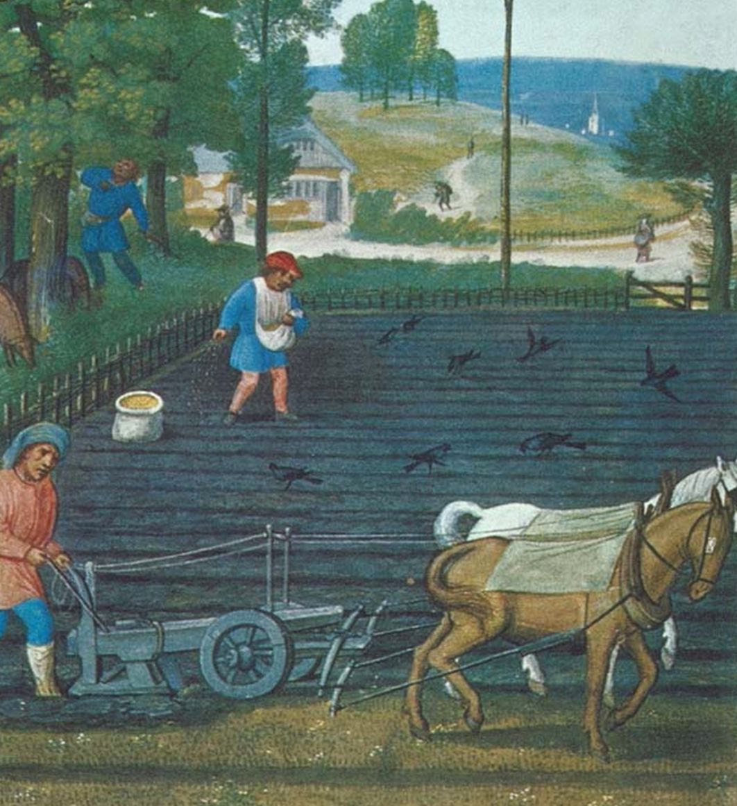 You’re a medieval peasant farmer. You’re at the bottom rung of society ...