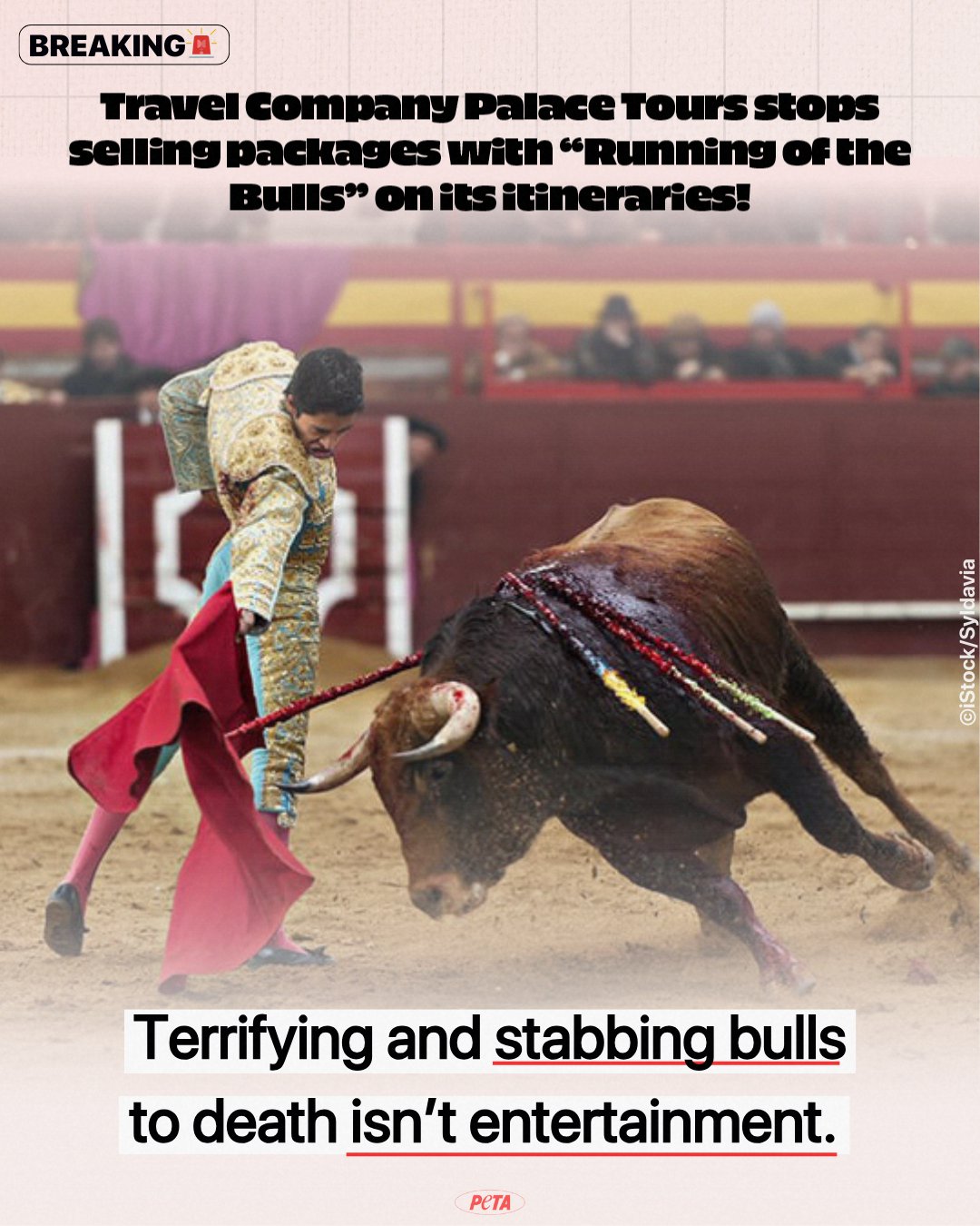 Bullfighting Memes