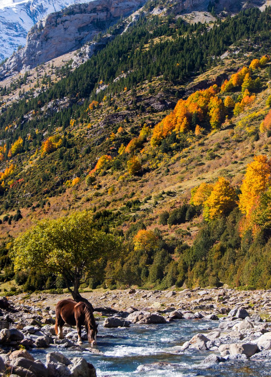 Spain isn’t just beautiful for its towns & cities — The country is home ...