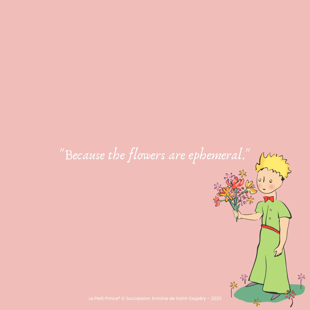 Little Prince Character Quotes A Fusion Of Magic And Elegance With