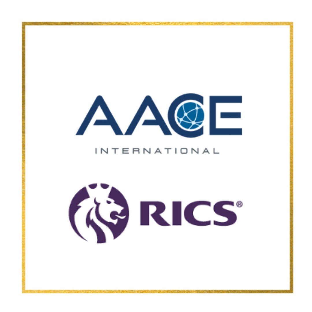 Aace International Logo