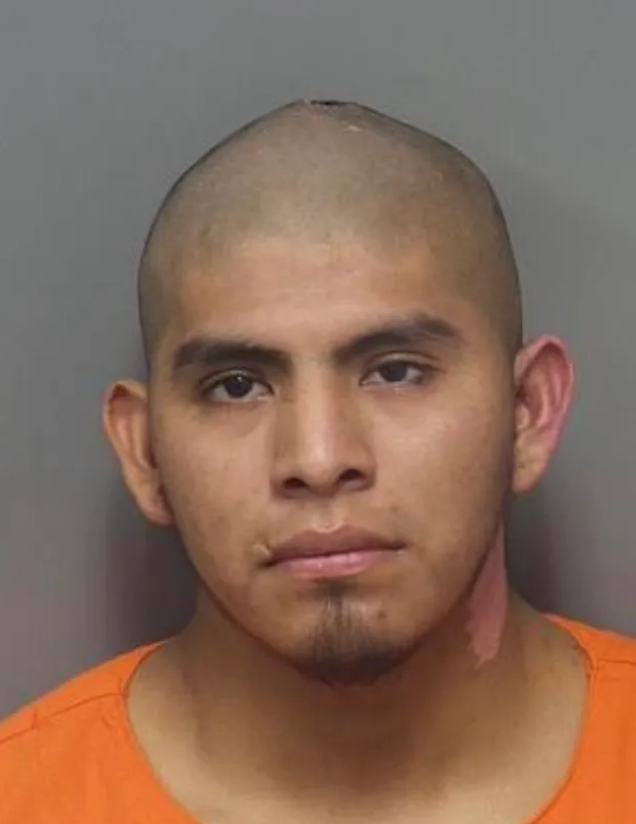 Akeem Daley's Instagram, Twitter & Facebook on IDCrawl