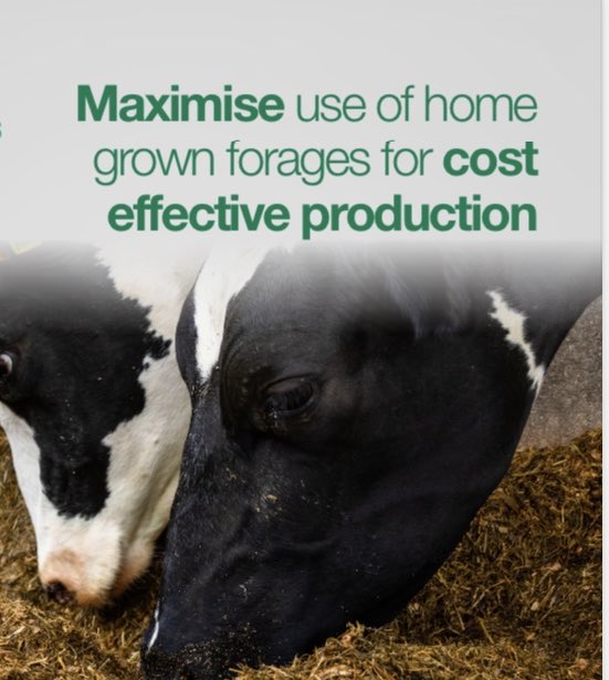 Contacts | ED&F Man Liquid Products UK