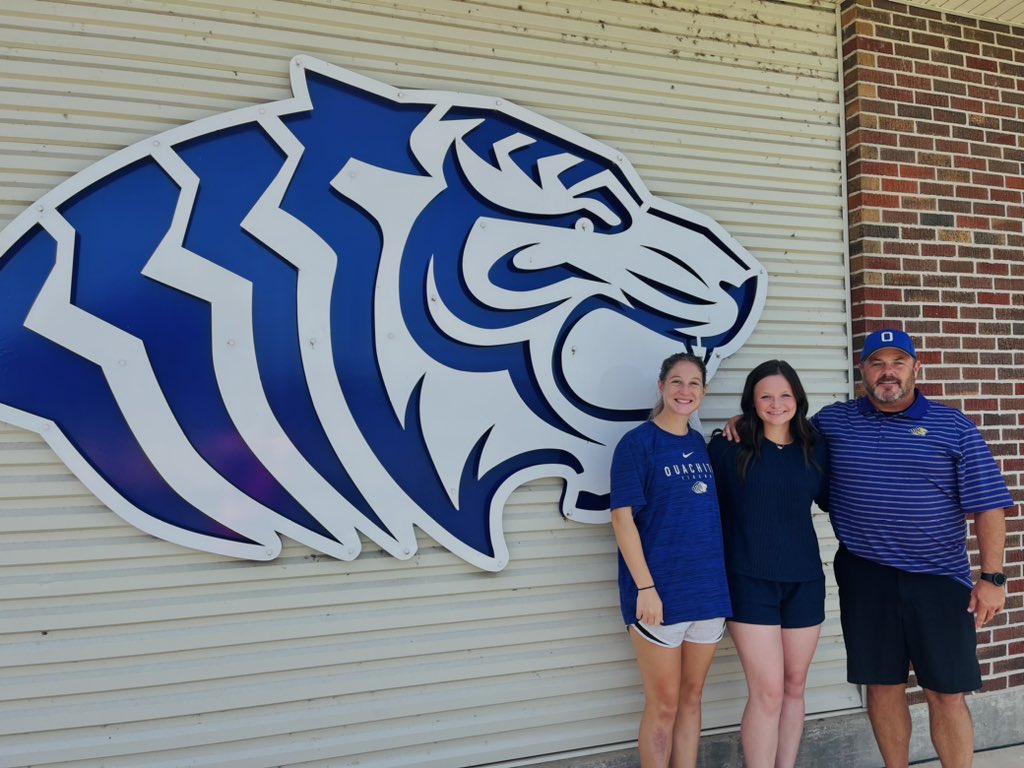 Impact Gold Fastpitch