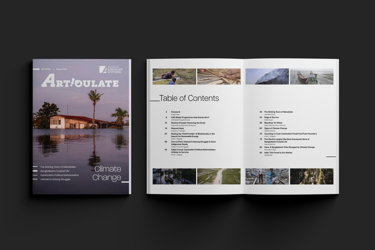 Media Programme Asia