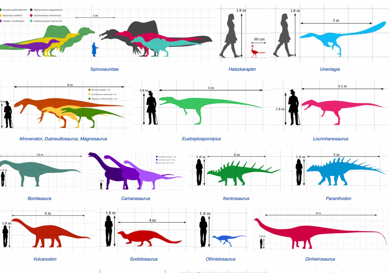 Dinosaur Size Comparison Chart