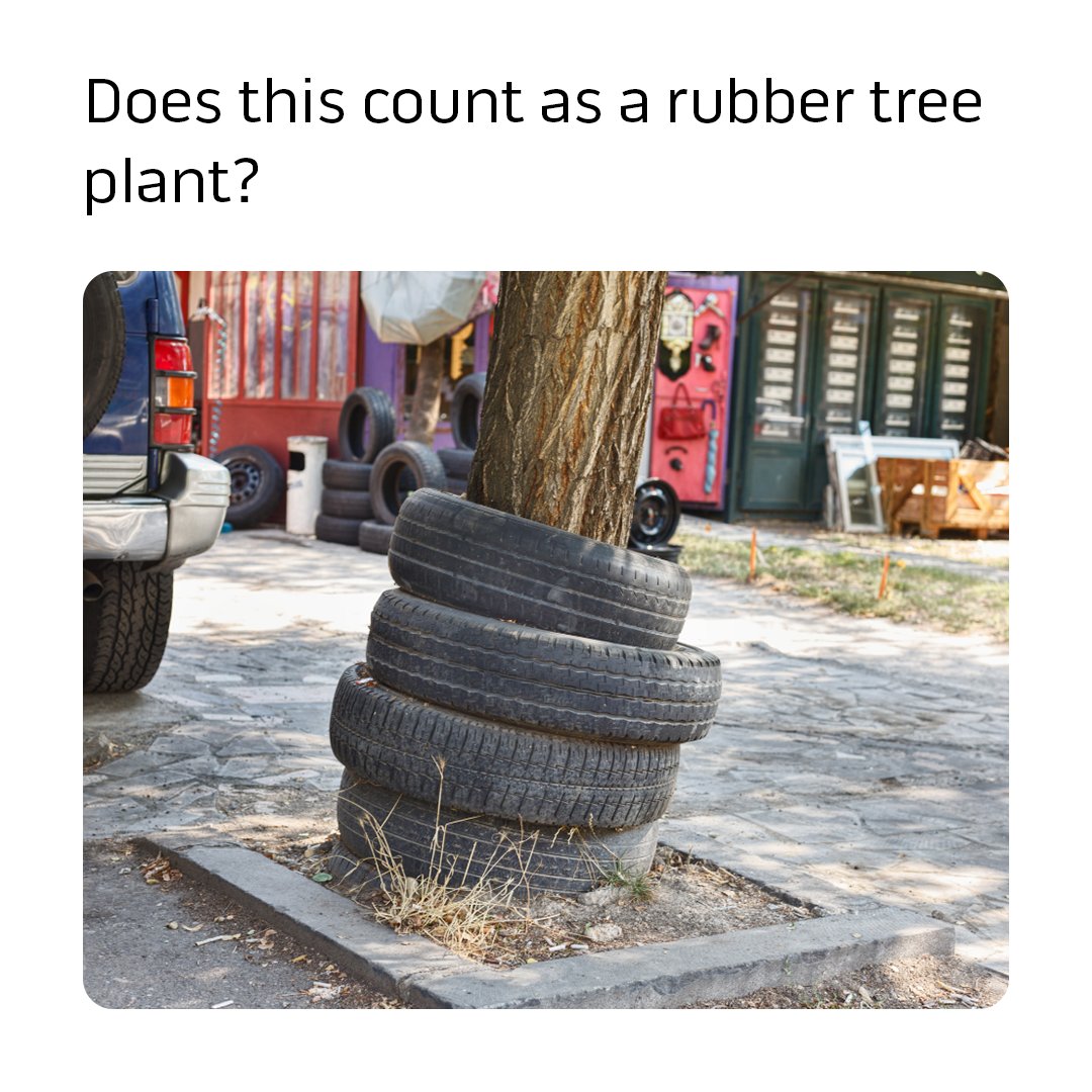Car Tree Memes