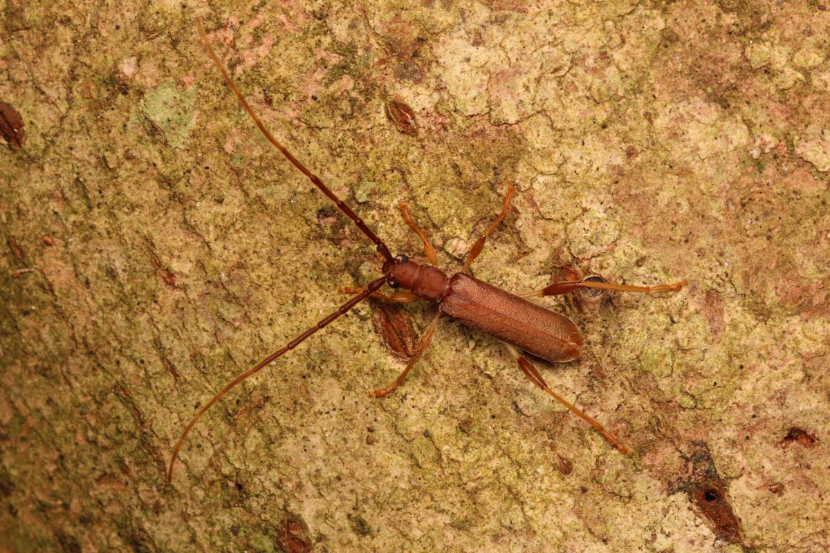 Ita(@itarex) - Twilog (ツイログ)