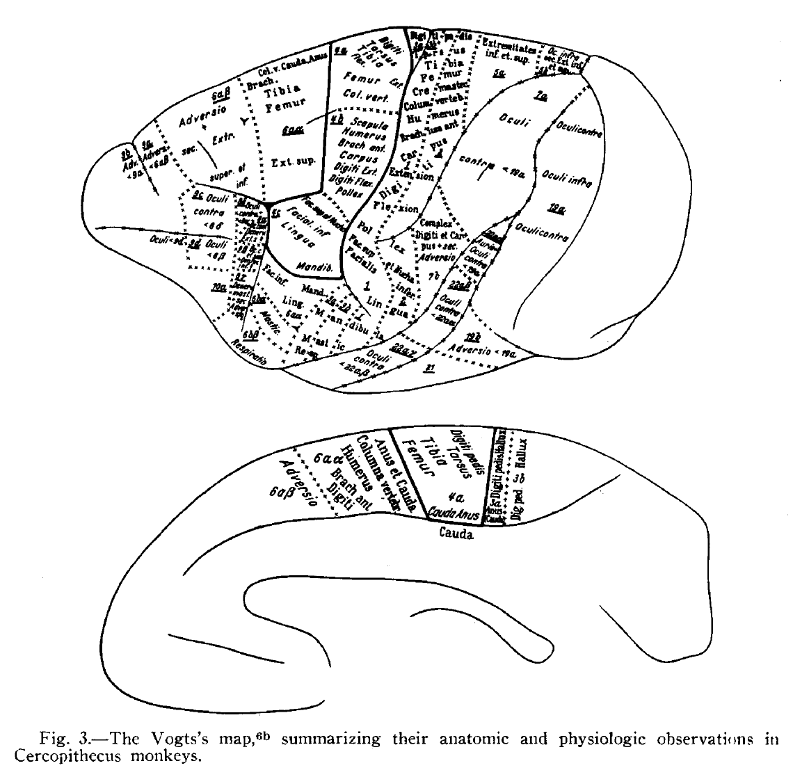 SEIZURE SEMIOLOGY #TWEETORIAL #Epilepsy #Seizure #NeuroX 🧵1/ What is a ...