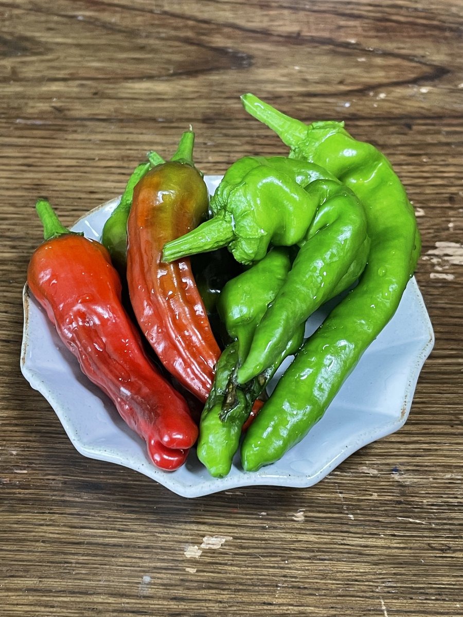 青木敬士／アミッドP(@AOKI_KC) - Twilog (ツイログ)