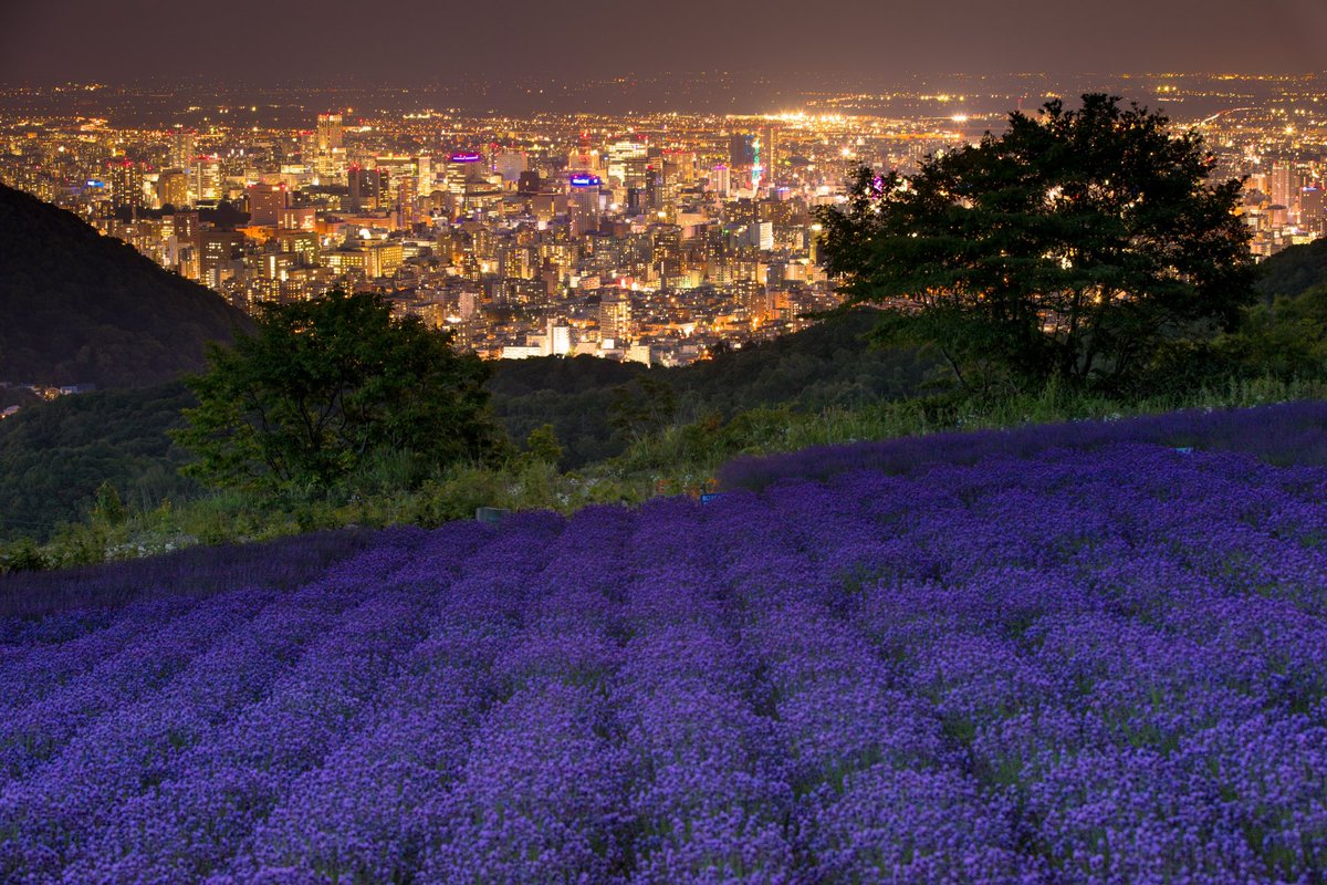 Mitsuru SHIMAMURA(@smbd) - Twilog (ツイログ)