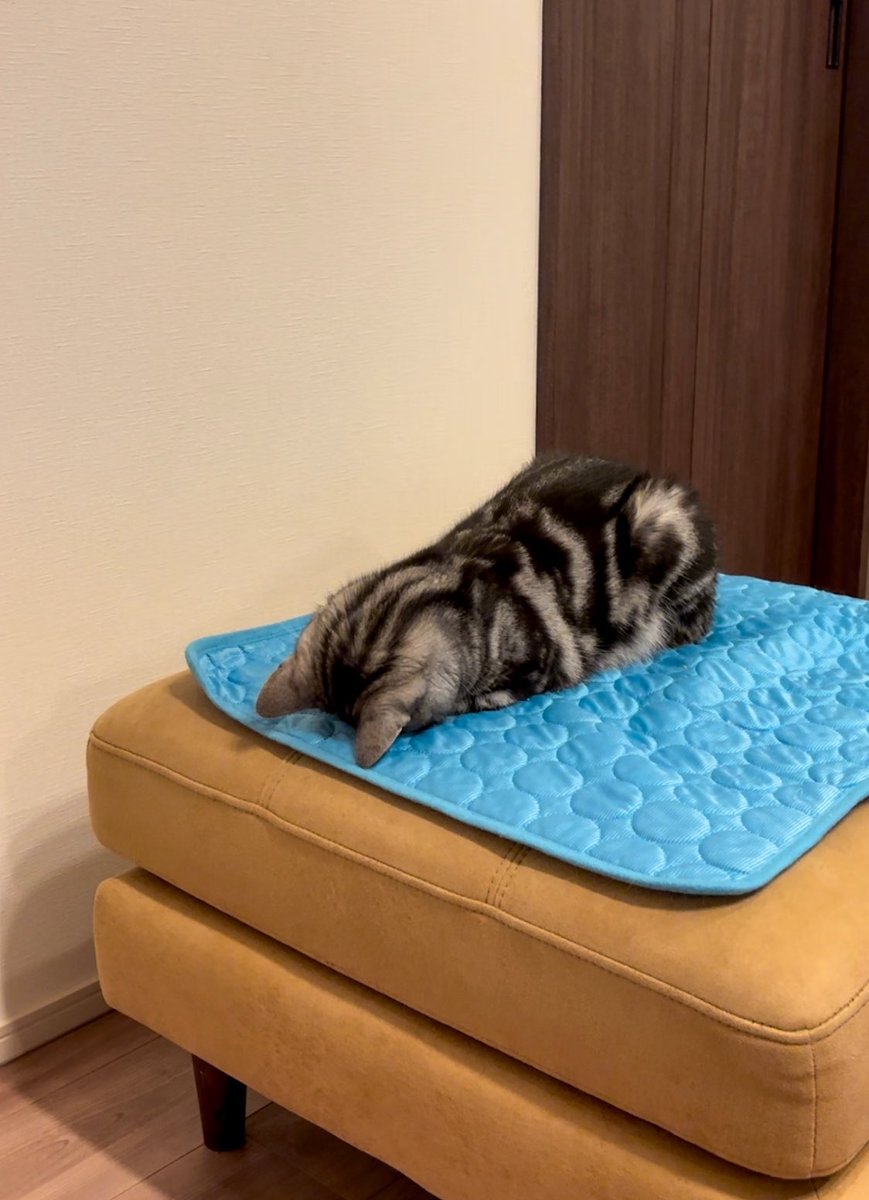 橘 遥(@Noir_plus) - Twilog (ツイログ)