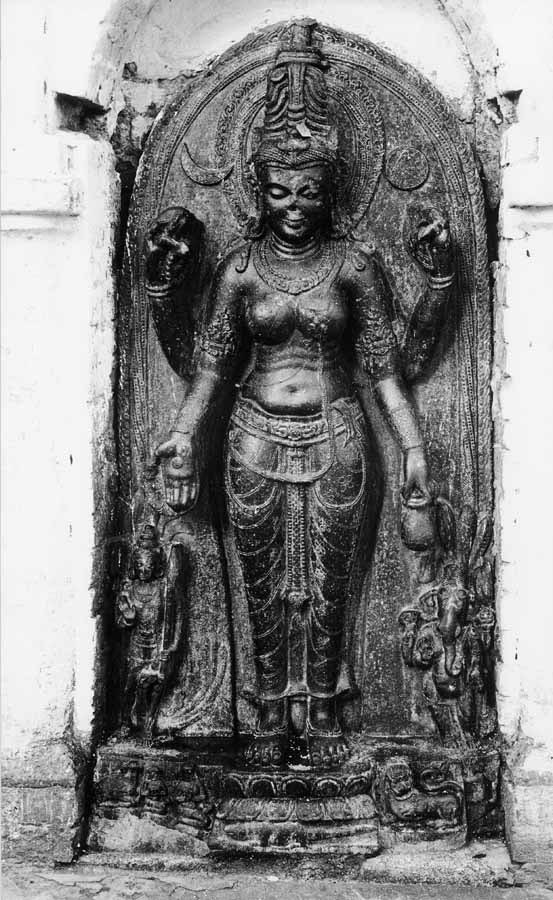 MagadhX₿T's Threads – Thread Reader App