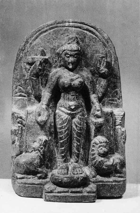 MagadhX₿T's Threads – Thread Reader App