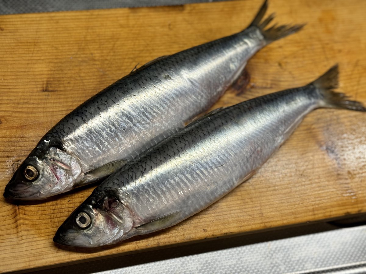 Mitsuru SHIMAMURA(@smbd) - Twilog (ツイログ)