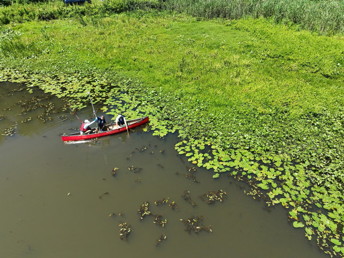 Top D2 Schools Social Media Benchmarks | Rival IQ