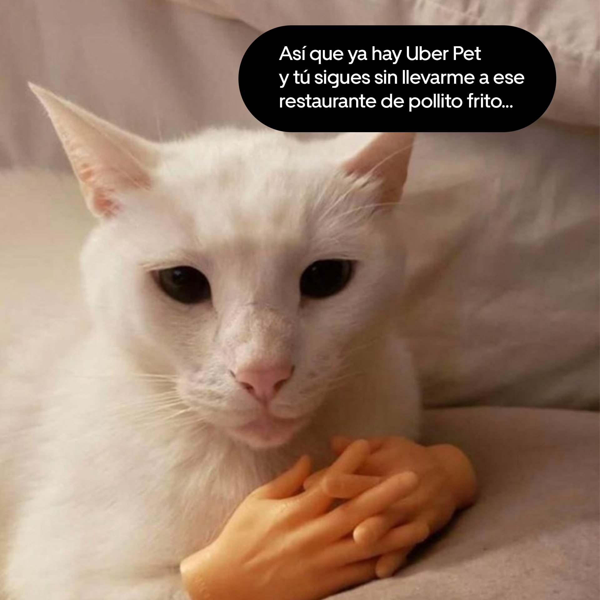 Sigue Sin Mi Meme ¿Qué Sigue Después Del Hospital? 😂🫠😭