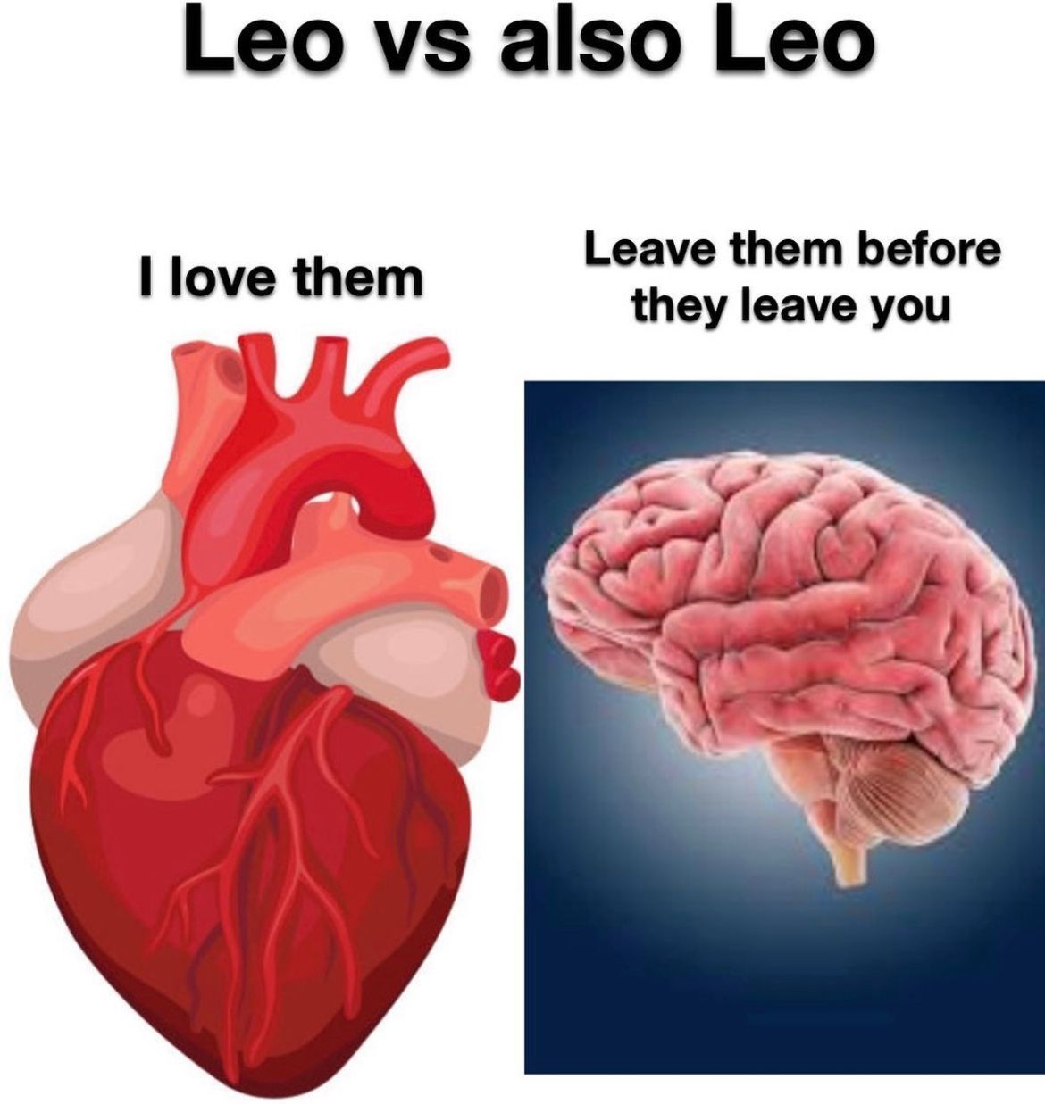 Leo Love Memes