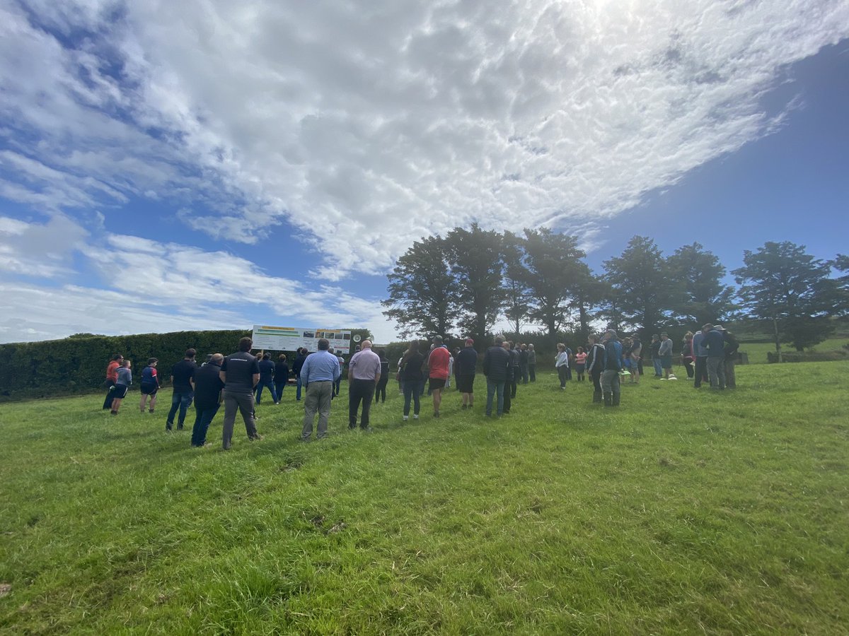 Case Studies | Nutrition Supplier - Carbery