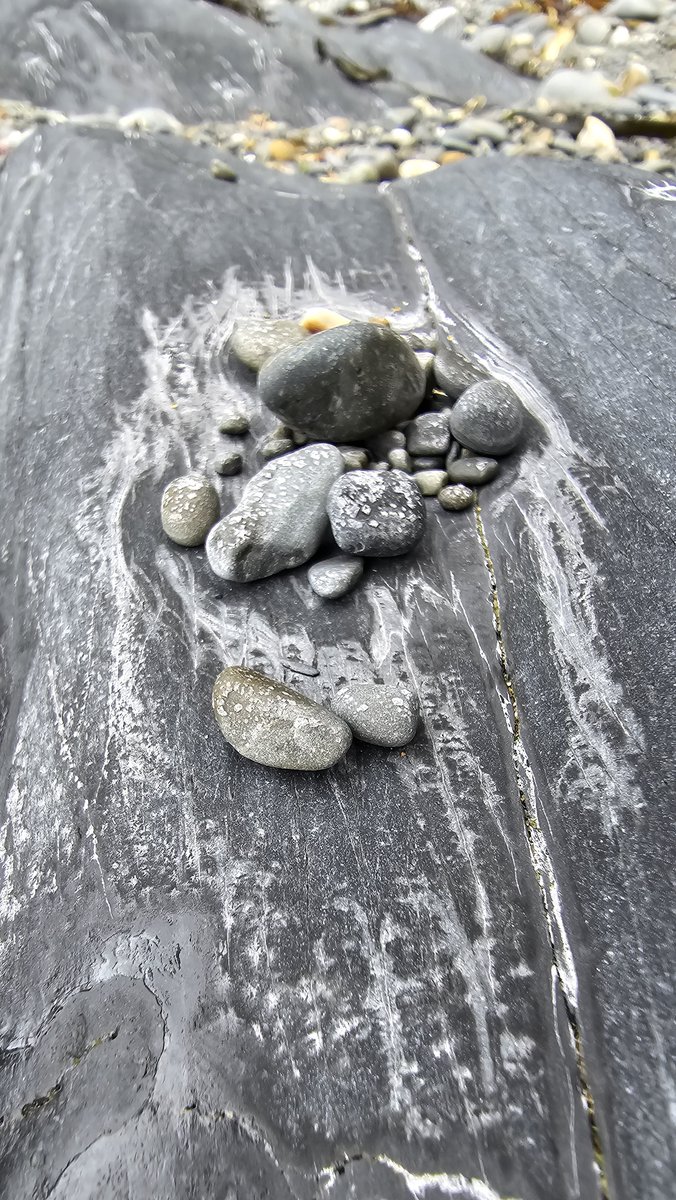 Thread by @1goodtern on Thread Reader App – Thread Reader App