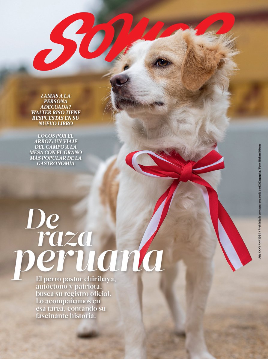 Perro Peruano Chiribaya
