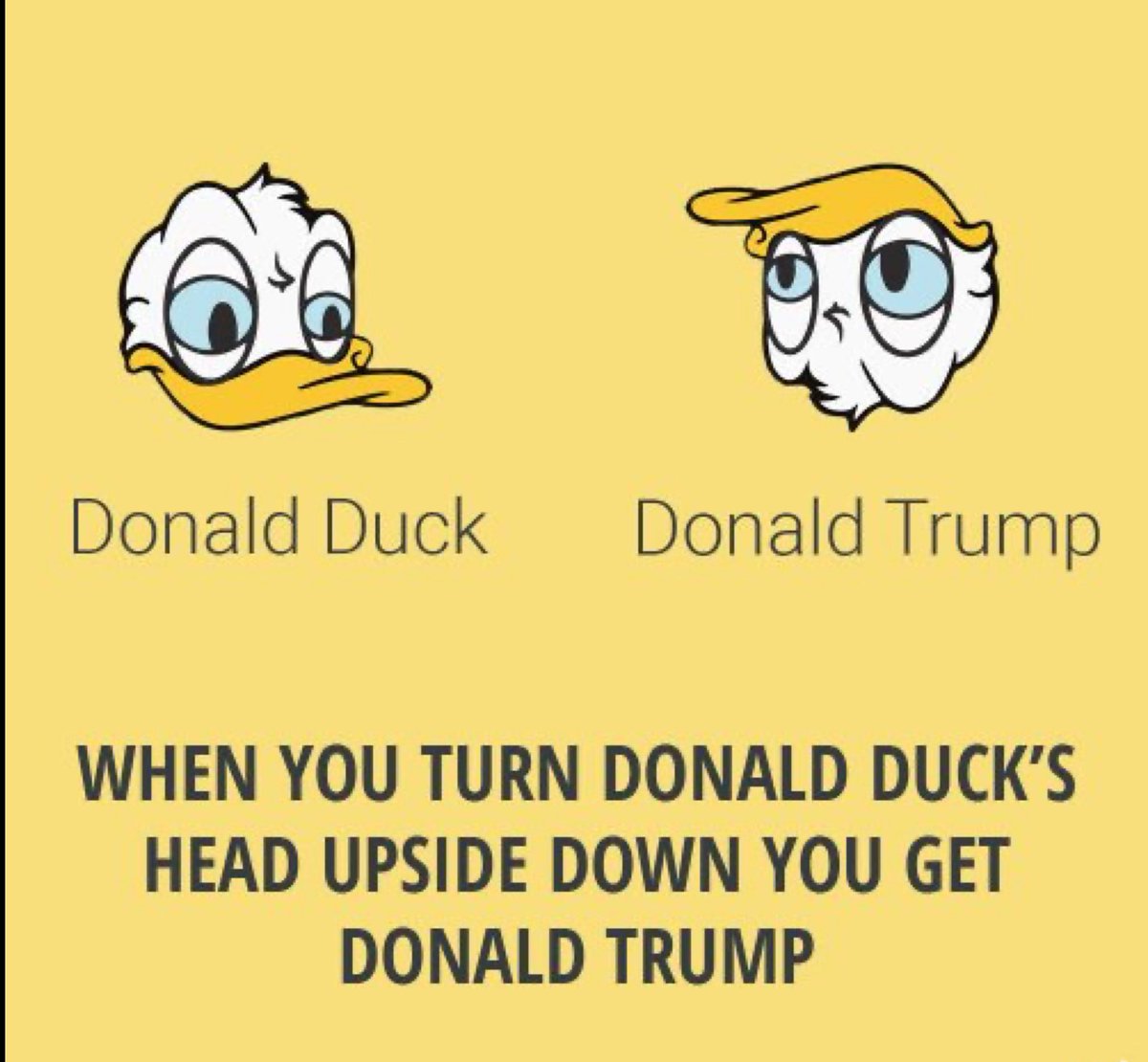 When you turn Donald Duck's head upside down you get TFG - Democratic ...