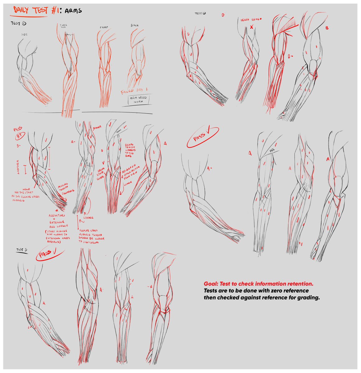 「💠 Anatomy Grind Vol 3: Arms The Arm section review is com」Overlord JCの漫画
