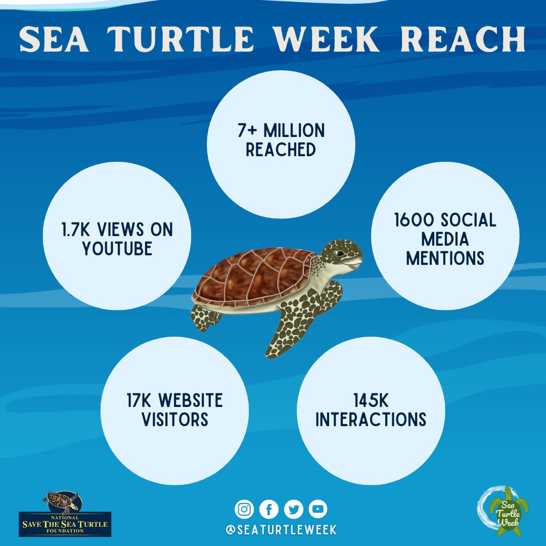 Roatan Sea Turtles São Vicente | Snorkeling With Turtles | Book