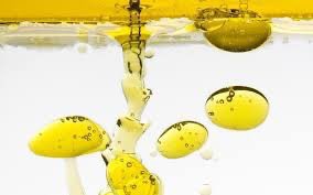 Fat and water don’t dissolve or mix with each other. Our body is water ...