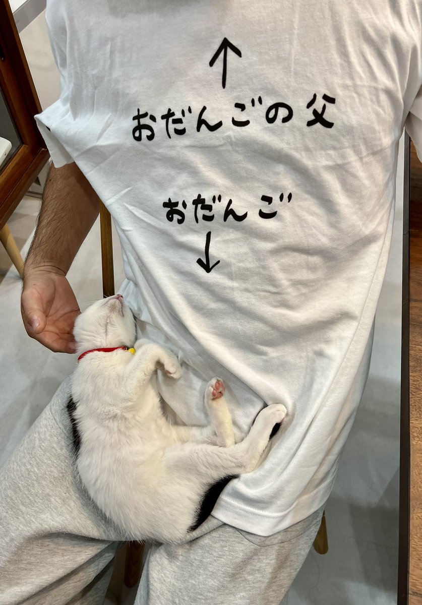 74(@souten_trpg) - Twilog (ツイログ)