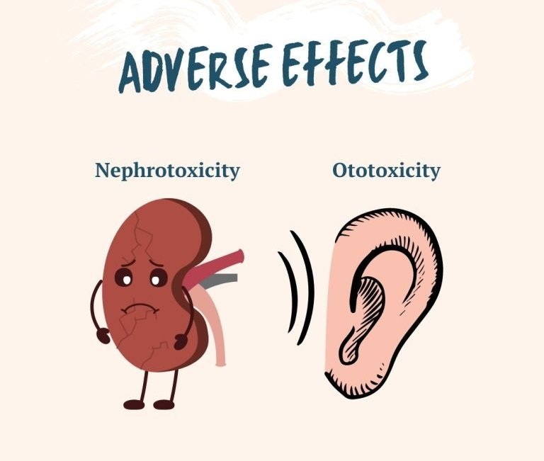 Nephrotoxicity And Ototoxicity Macrophage Depletion Protects Against