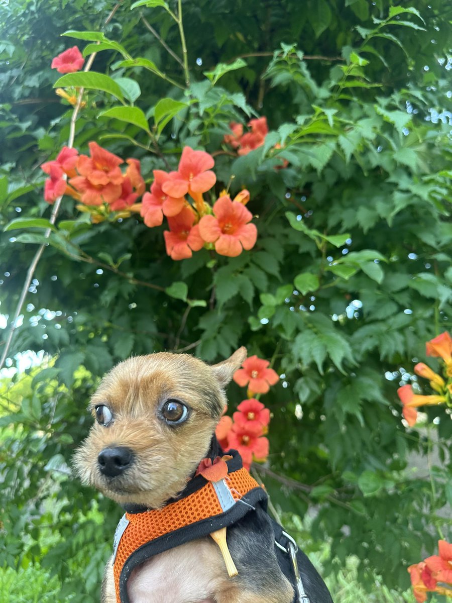 Mayuri(@mayurinn0319) さんの裏垢画像・動画 – 裏垢女子ランキングナビ