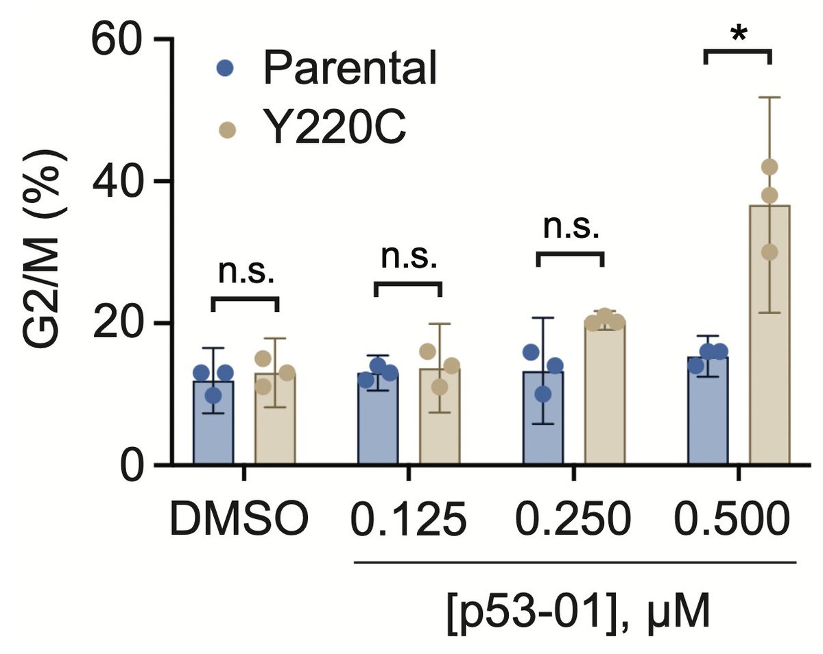 TP53: - Discovered 45 years ago, most cited gene all time - No ...