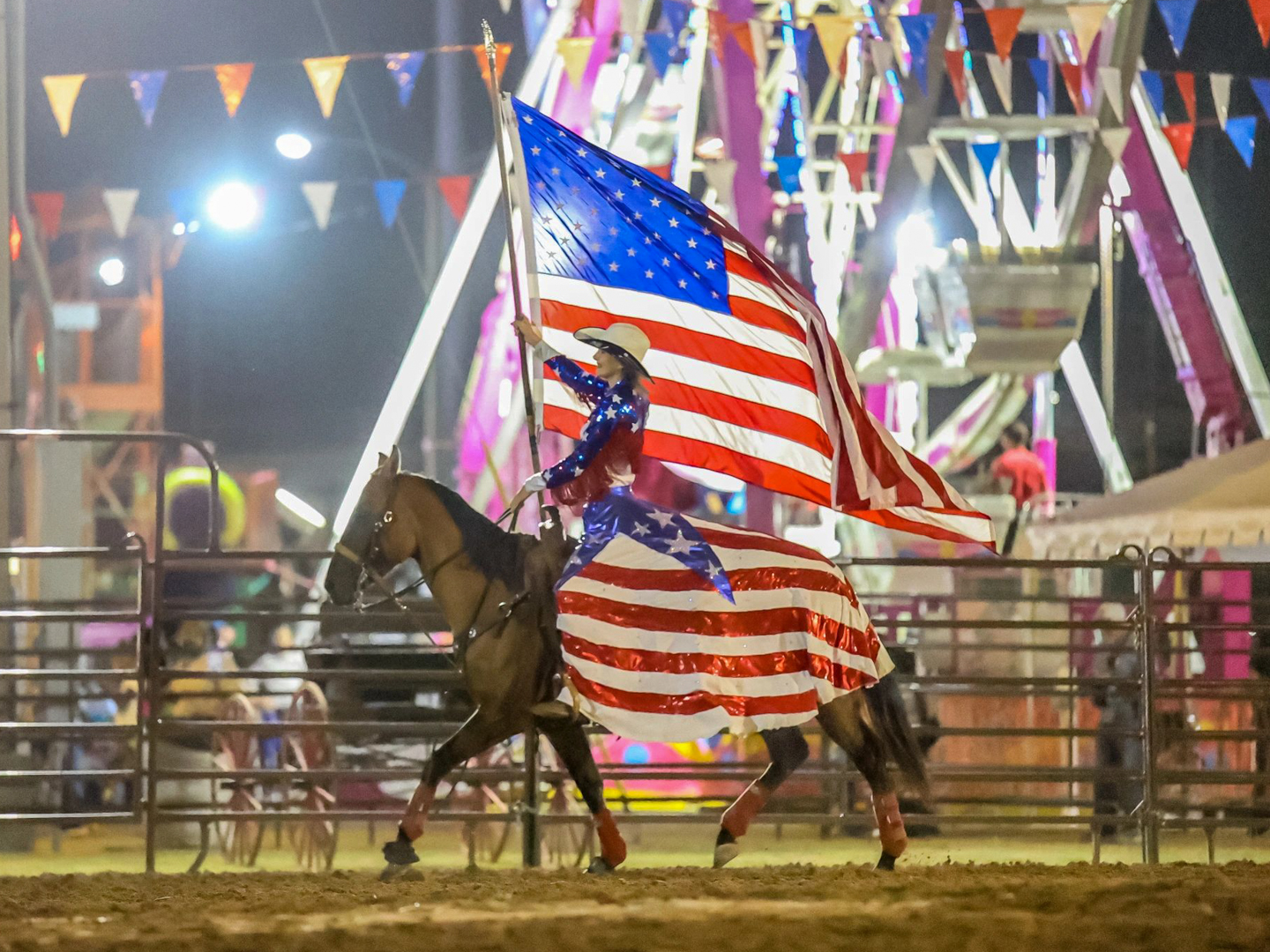 Rodeo Horse Flag