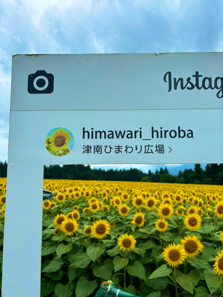 おこナス ランニング徐々に再開中(@asahi_pointzero) - Twilog (ツイログ)