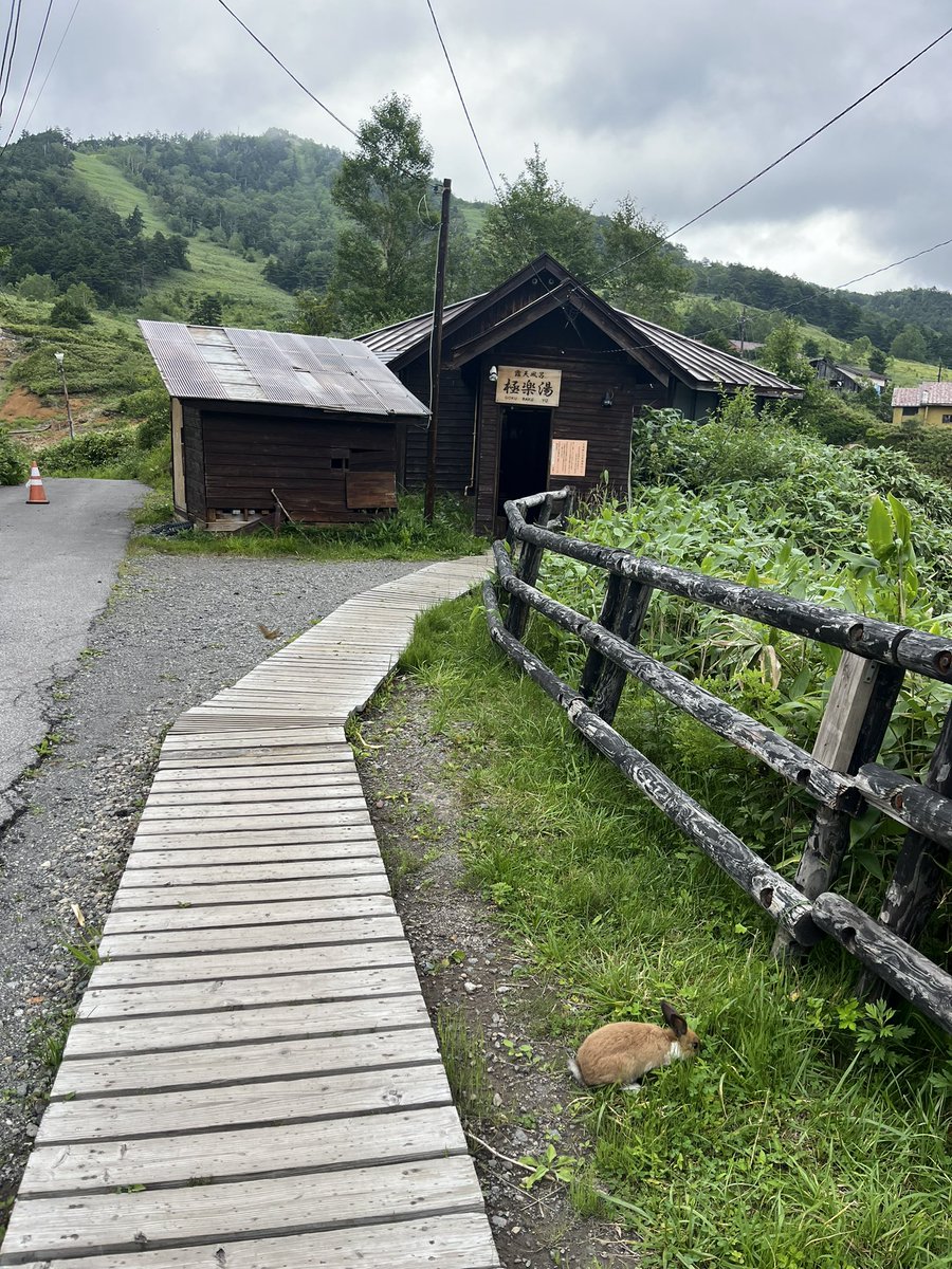 おこナス ランニング徐々に再開中(@asahi_pointzero) - Twilog (ツイログ)