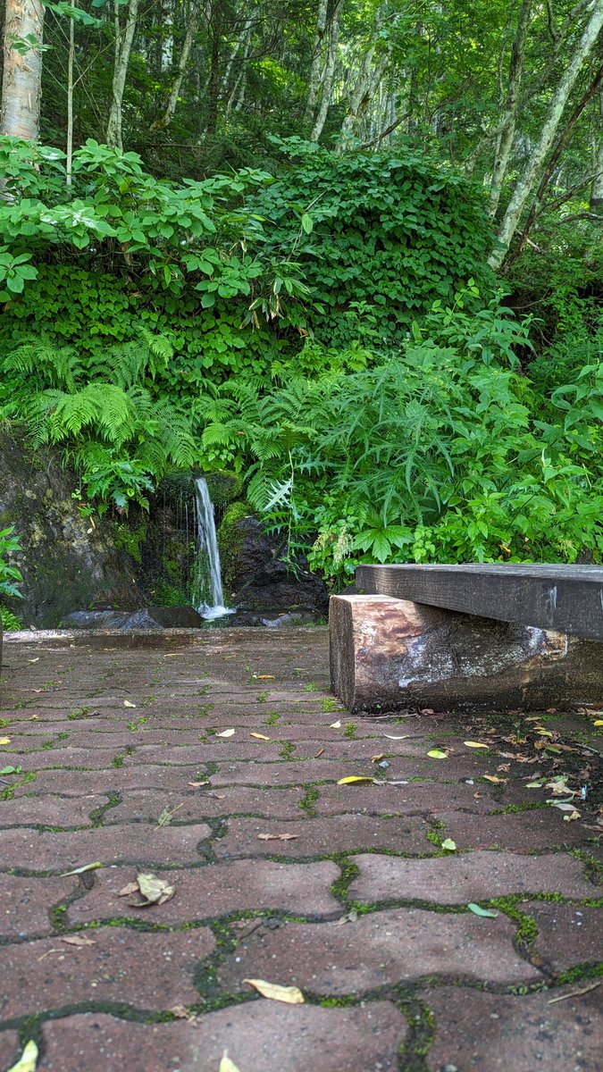 おこナス ランニング徐々に再開中(@asahi_pointzero) - Twilog (ツイログ)