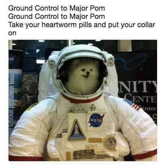 Major Tom Memes Major Tom (Coming Home) (2023 Remaster)