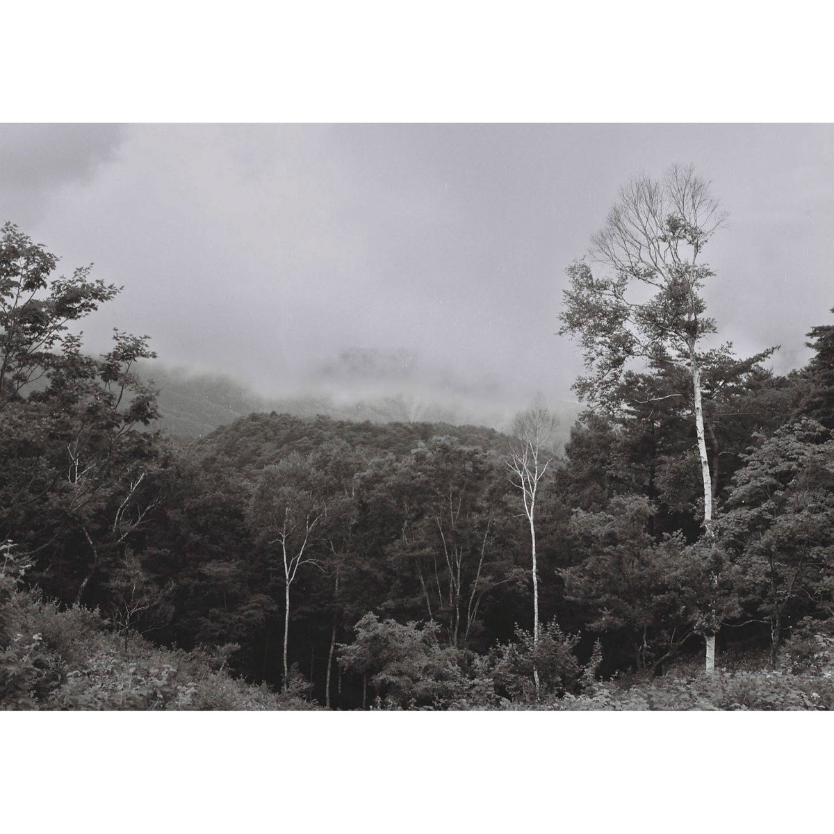 おこナス ランニング徐々に再開中(@asahi_pointzero) - Twilog (ツイログ)