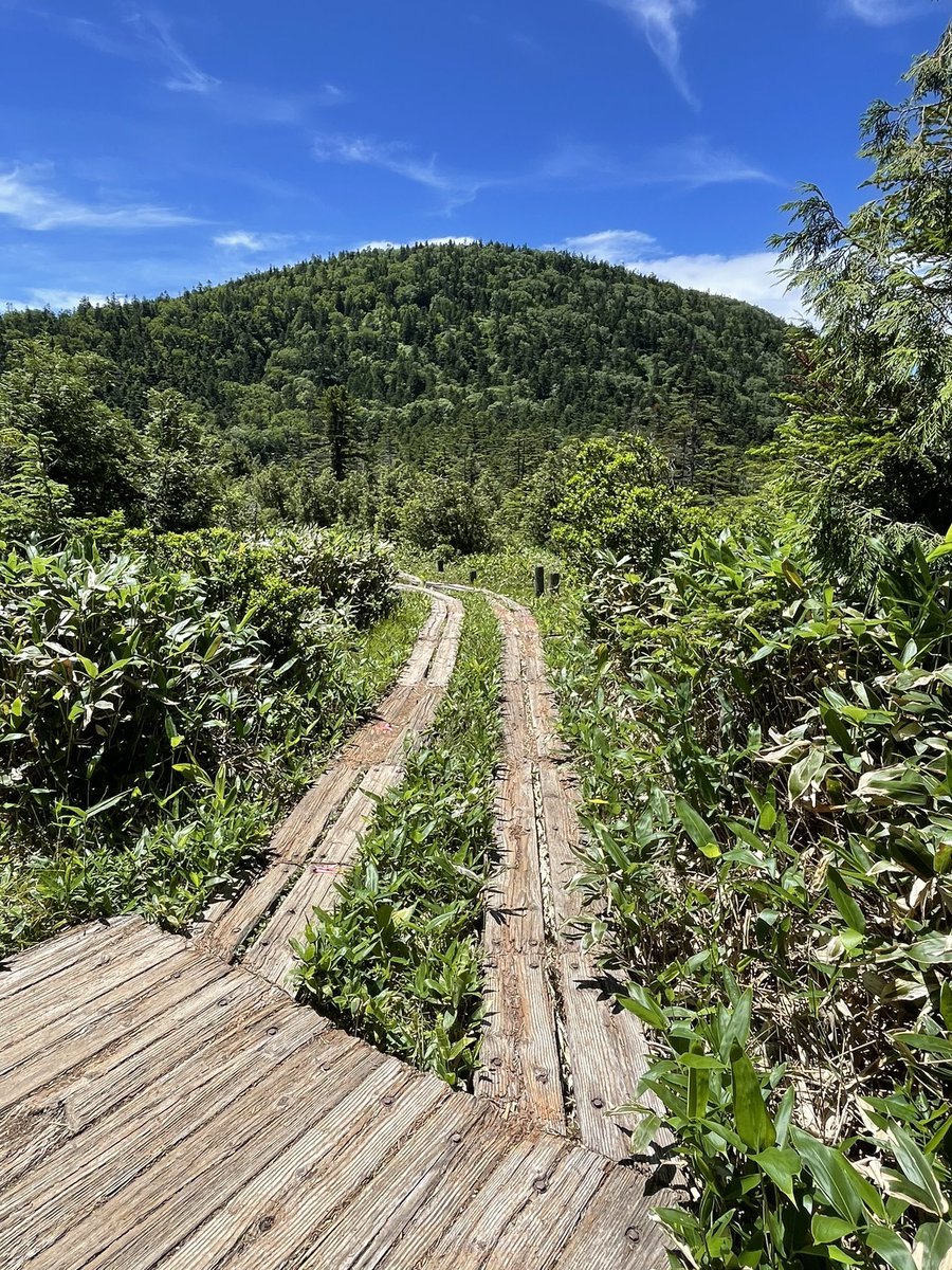 おこナス ランニング徐々に再開中(@asahi_pointzero) - Twilog (ツイログ)