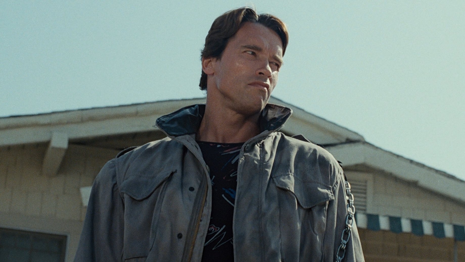 Arnold Schwarzenegger, Terminator 2024 The Terminator At 40: James