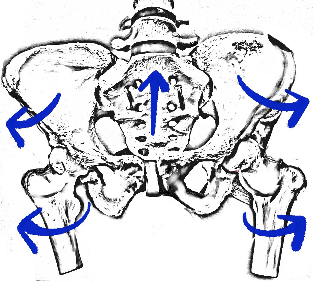 Your pelvis is stuck in this posterior tilt because your hips lack ...