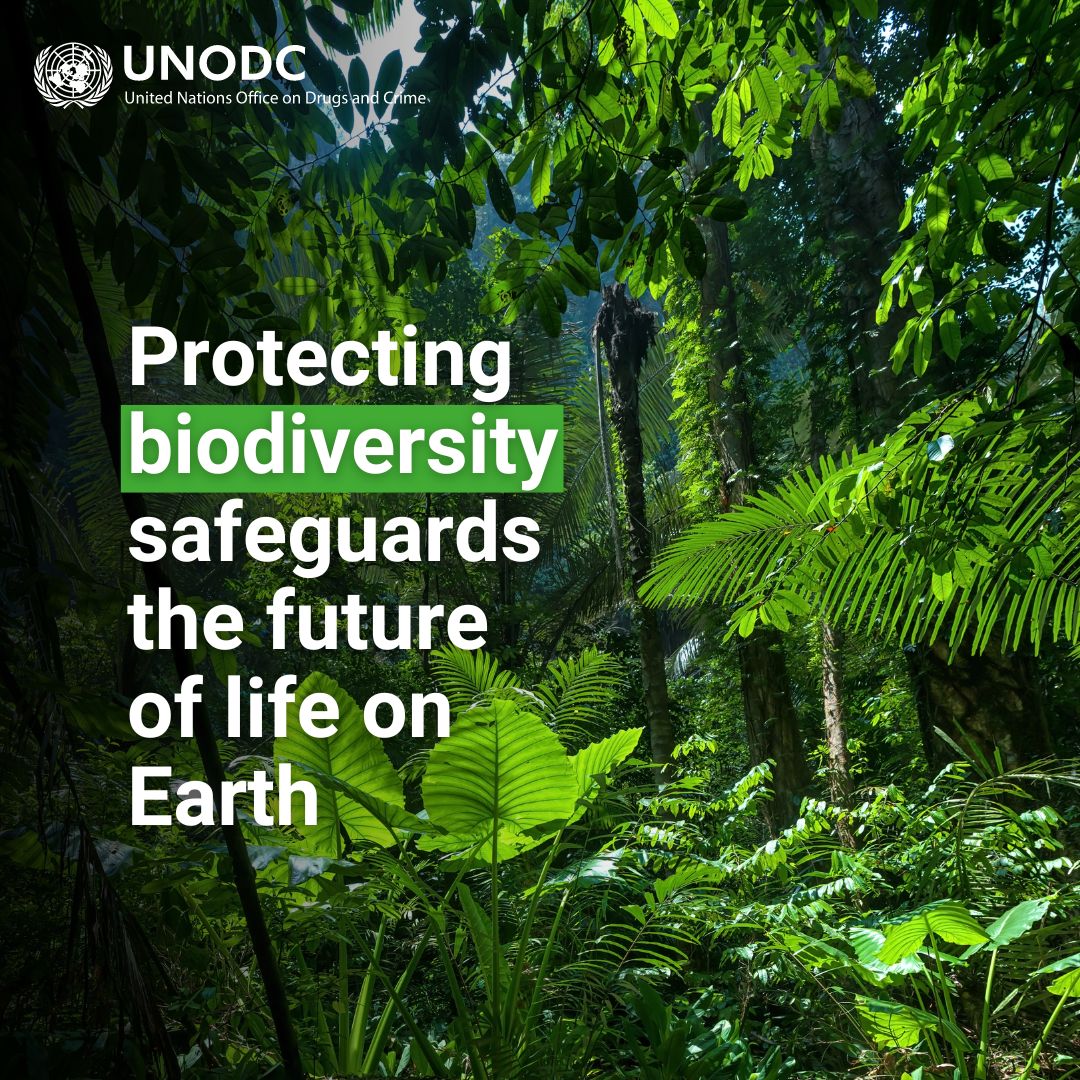 CfRN COP27 2022 - Coalition for Rainforest Nations