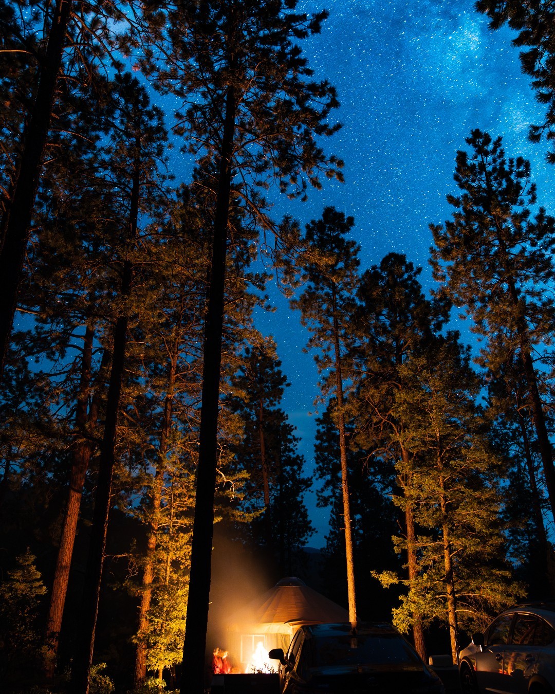 Forest At Night Time Observation Of Nighttime New Particle Formation
