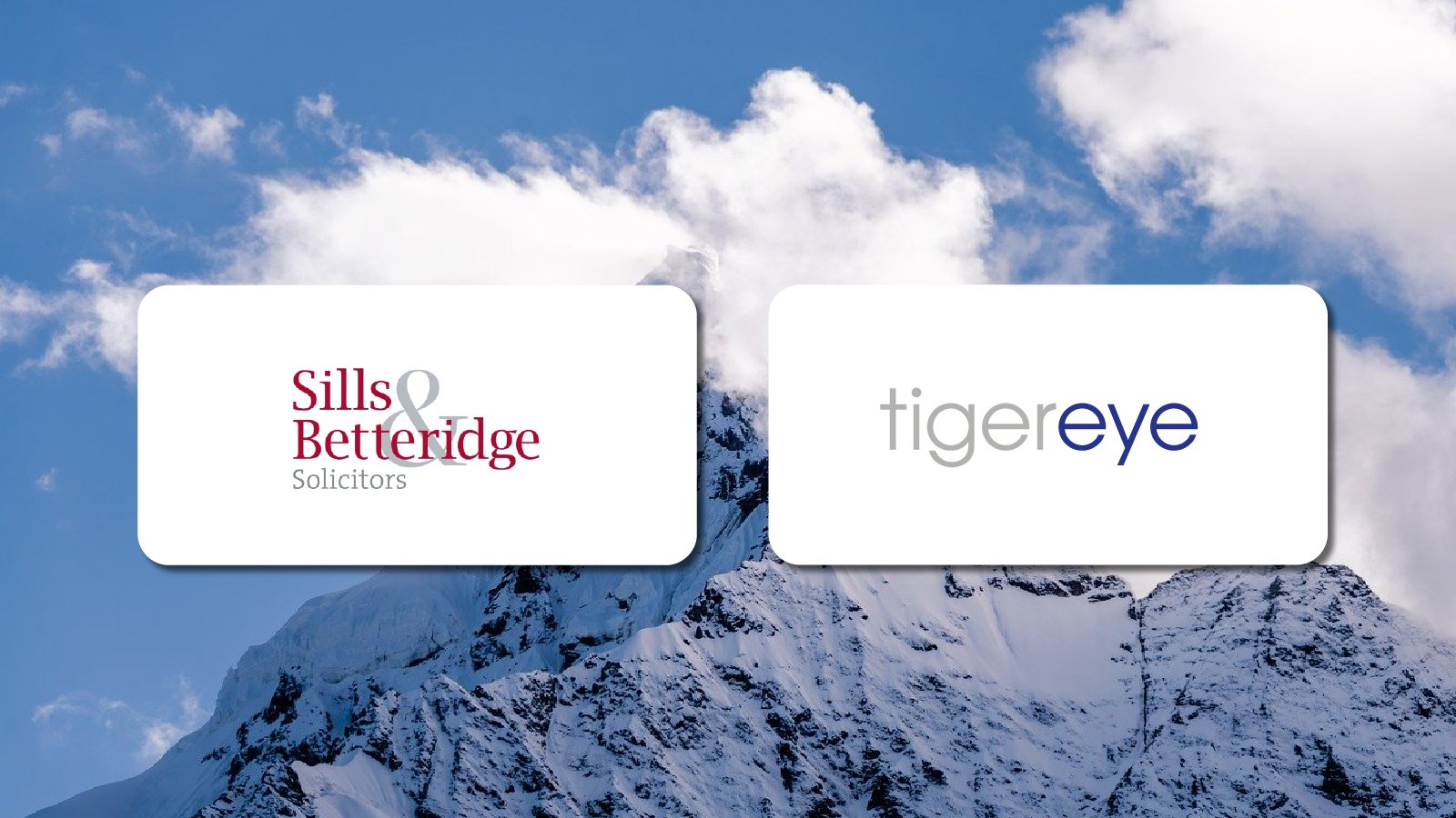 Tiger Eye Tiger Eye Consulting Tiger Eye UK X