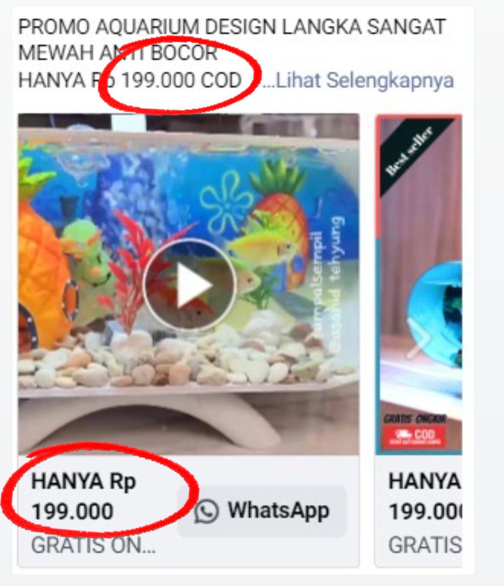 Thread by @bardanslm on Thread Reader App – Thread Reader App